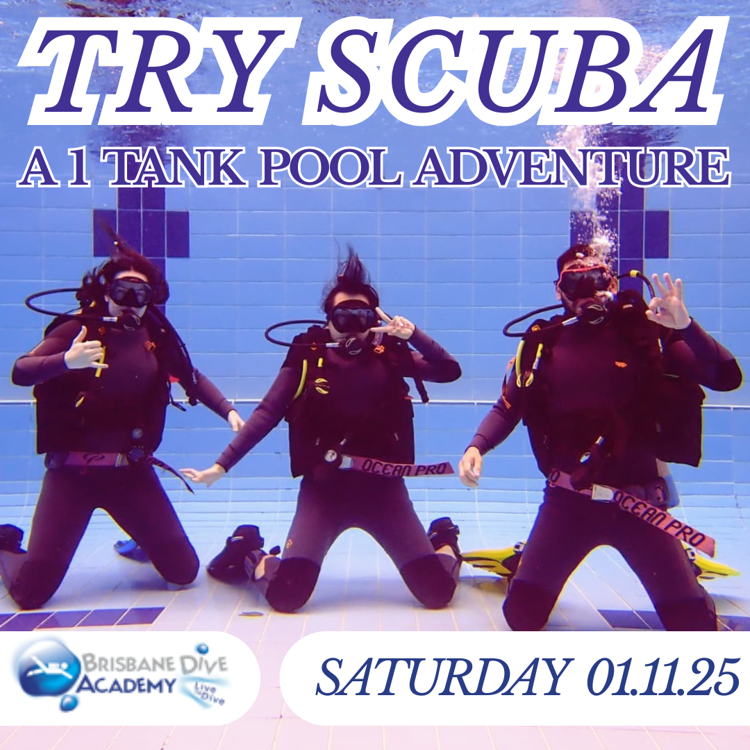 TRY SCUBA – Brisbane Dive Academy
