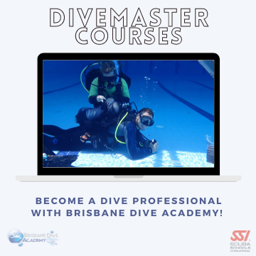 Divemaster Platinum Course – Brisbane Dive Academy