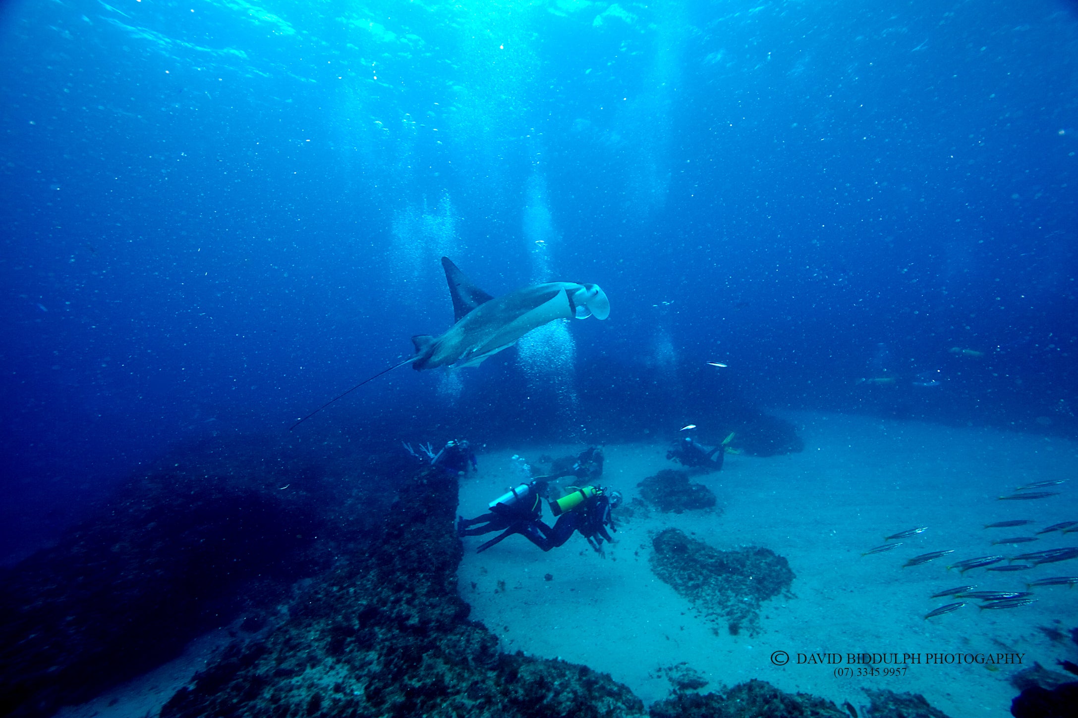 North Stradbroke Island Weekend – Brisbane Dive Academy